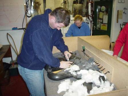 Equine Sports Massage » English Saddle Flocking and Basic English ...